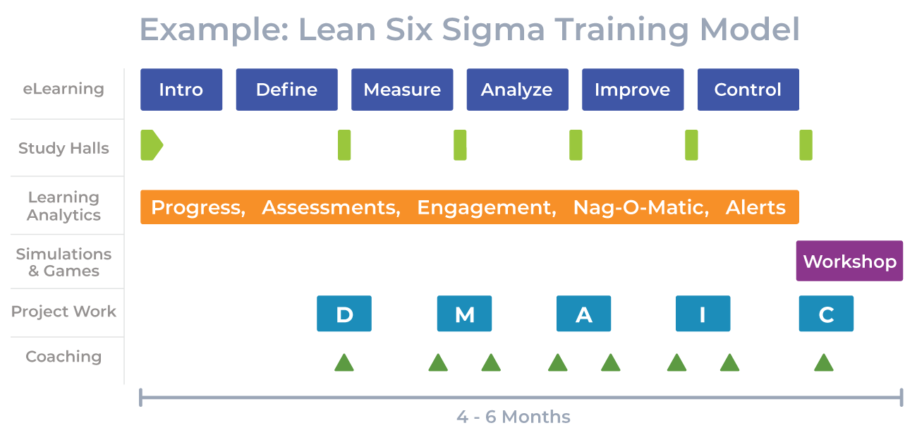 Lean Six Sigma Blended Learning